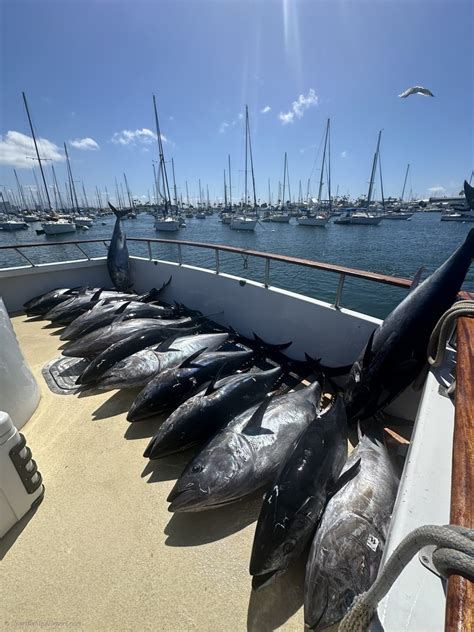 Pacific Dawn Fish Report Fish Report Night Bite Action On The