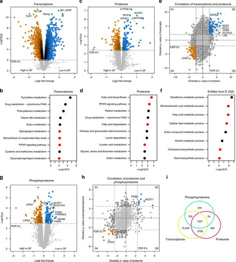 Transcriptomic Proteomic And Phosphoproteomic Analyses Of Liver