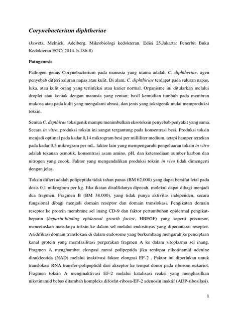 Corynebacterium Diphtheria Pdf