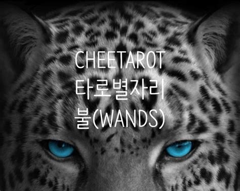 타로점성학 별자리양자리 성격사자자리 성격사수자리 성격별자리 특징황도12궁 네이버 블로그