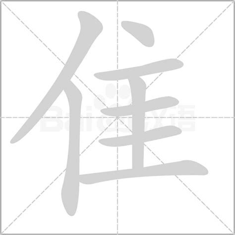 隹字笔顺笔画顺序 隹的笔顺怎么写正确 隹字怎样写好看 隹字拼音 部首 字帖 汉字笔顺查询网
