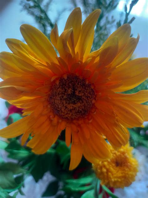 Prajyot Pradnyasagar 사진