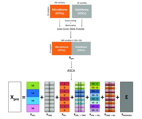 schematic representation of low level data fusion of microbiome and