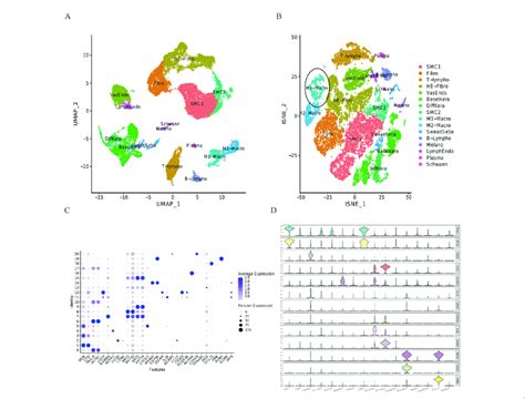 Expression Of Every Clusters Marker Genes A 32 574 Cells From All
