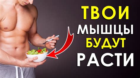 10 Продуктов Для Роста Мышц Youtube