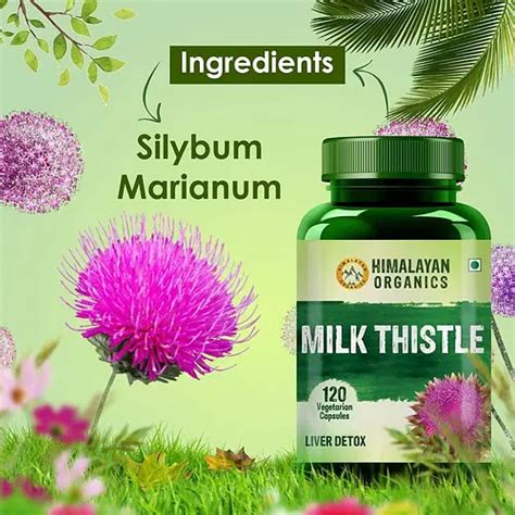 Himalayan Organics Milk Thistle Extract Silymarin 800mg | 120 Veg ...