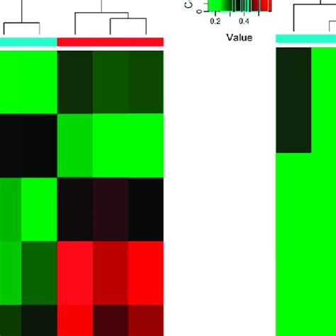 Rna Integrity And Genomic Dna Contamination Examined By Denaturing