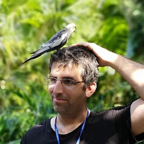 Ido Zachevsky Medium