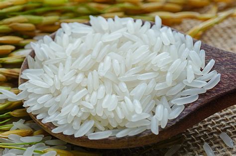 Rice Varieties Amru Rice Cambodia