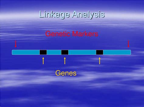 Ppt Gene Mapping Powerpoint Presentation Free Download Id3653774