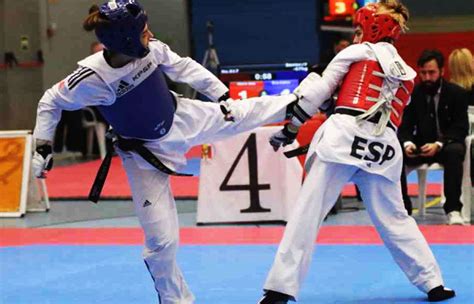 Técnicas Del Taekwondo