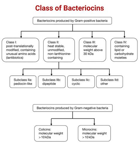 Bacteriocins And Lantibiotics Class Functions Examples
