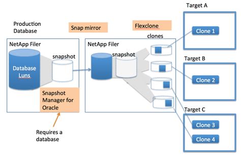 Database Thin Cloning Wafl Netapp