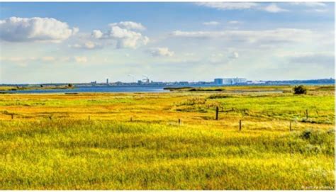 გერმანიაში ბალახზე სექსი აიკრძალა გურიის მოამბე