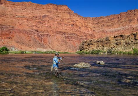 Fly Fishing Arizona An Anglers Guide Into Fly Fishing