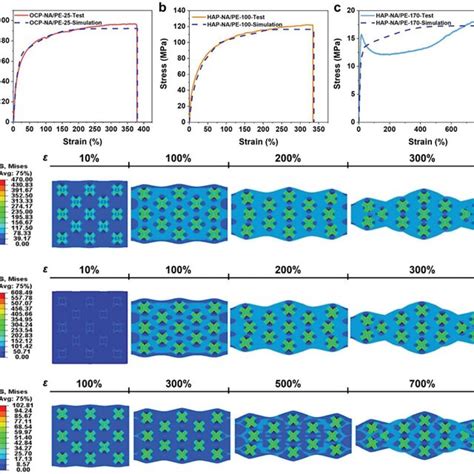 Finite Element Fe Model Simulations For Stress Contours Of Ocp‐na Or Download Scientific