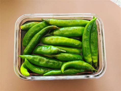 간장 고추장아찌 만드는 법 청양고추 간장절임