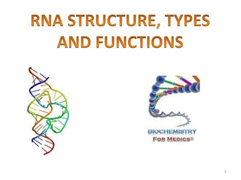 Polycistronic And Monocistronic Rna Pptx