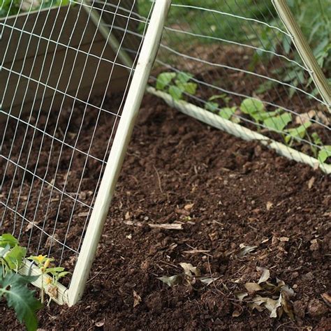Build A Chic And Easy DIY Garden Trellis The Garden Glove