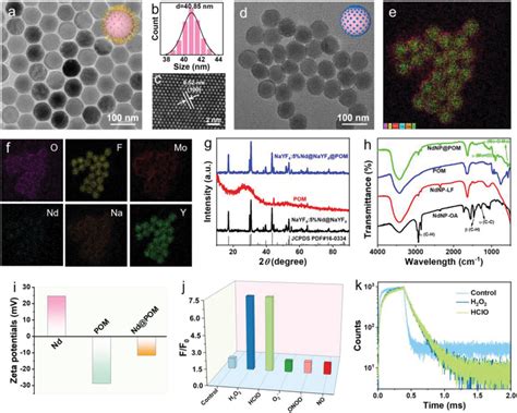 Characterization And In Vitro Hclo And H2o2 Responses Of Nd Pom Download Scientific Diagram