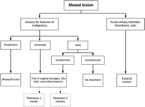 Systematic Approach To Management Of Urethral Lesions Download Scientific Diagram