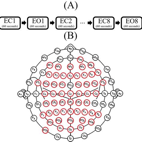 A Resting State Eeg Acquisition Protocol In Mind Body Brain Dataset Download Scientific