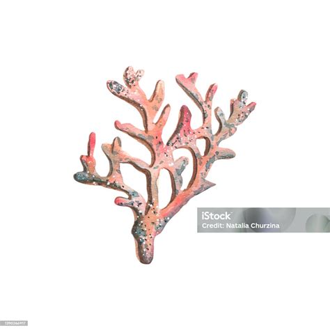 흰색 배경에 빨간색 산호 고립 된 물체의 수채화 그림 다채롭고 아름답습니다 수중 세계 엽서 포스터 스티커 디자인 패턴의 디자인을 위해 개체 그룹에 대한 스톡 벡터 아트 및