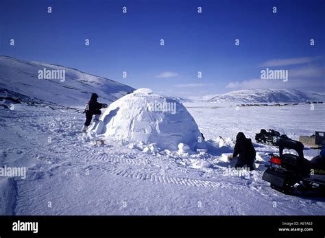 Did Inuit Live In Igloos At George Tarenorerer Blog