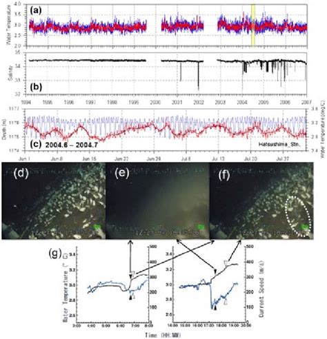 Physical Environment Fluctuation And Biological Spawning Events Using Download Scientific
