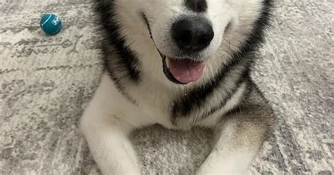 Cutie Pie Album On Imgur