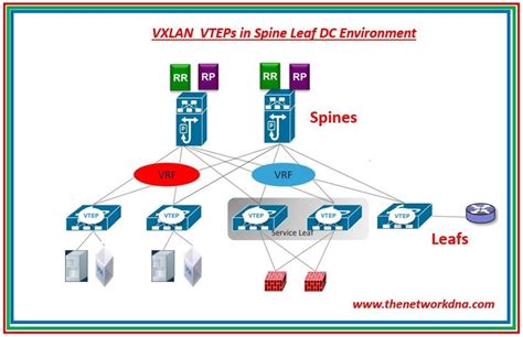 Vteps And Vnis In Vxlan Networks Baseline ☑
