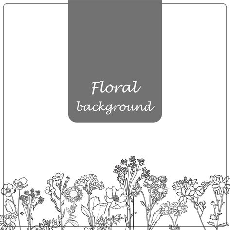 Floral Background Outline Hand Drawn Illustration On White Backgroung