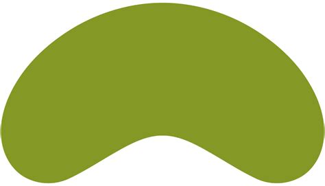 Lima Bean Photography