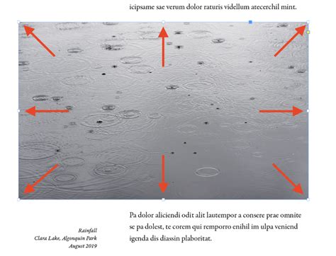 How To Crop An Image In Adobe InDesign Steps Tips