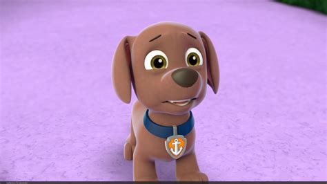 Zuma - PAW Patrol Photo (40262999) - Fanpop