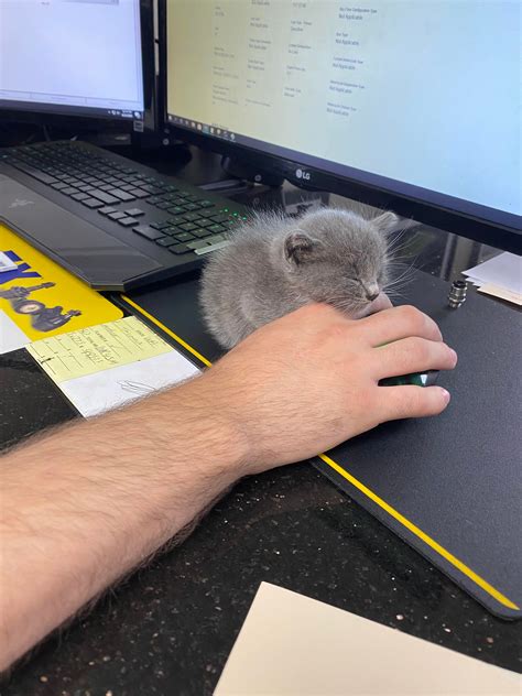 What Keyboard Is This R Pcmasterrace