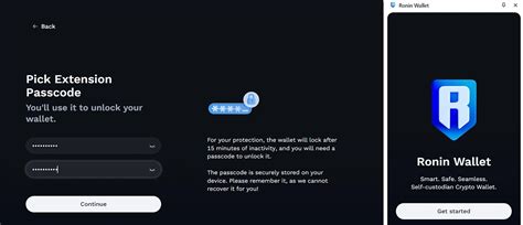 How To Connect To Ronin With Metamask Coingecko