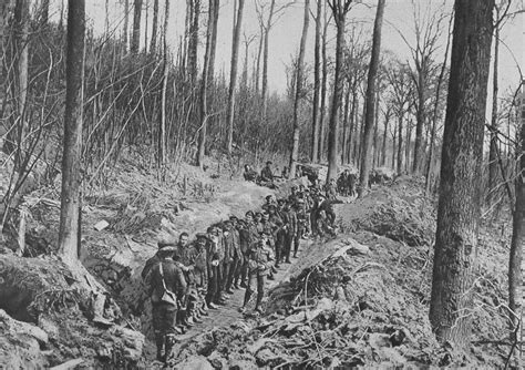 Canadians And Newfoundland Regiment Ww1 Photo Archive