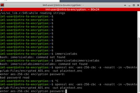 Introduction To Encryption R Immersivelabs
