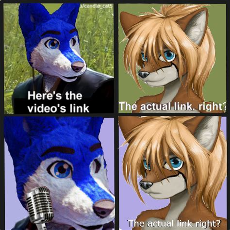 Haha Edited Furry Meme Go Brrrrrrr Rfurrymemes