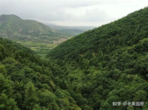 宁夏美食六盘山肉牛好牛 知乎