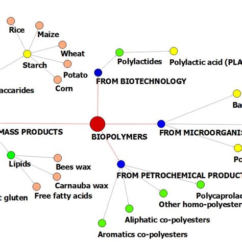 Characteristics Of Biopolymers Vs Synthetic Polymers Download