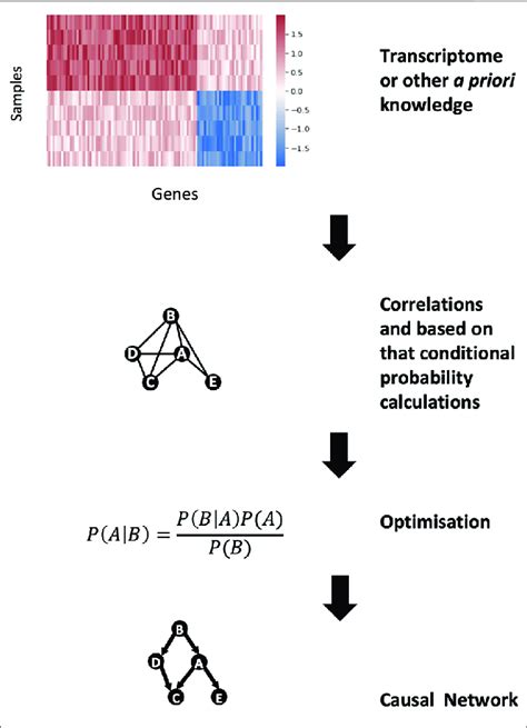 Bayesian Network Construction For Gene Regulatory Networks From The Download Scientific