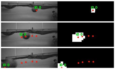 Vision Based In Flight Collision Avoidance Control Based On Background