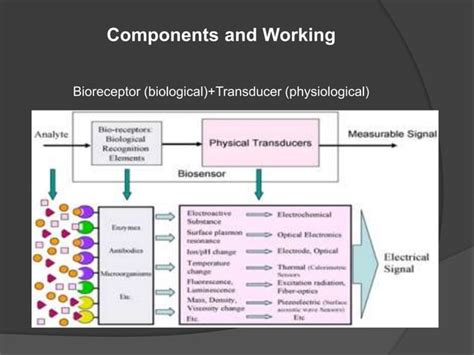Enzyme Biosensor Final Pptx Chemistry Science