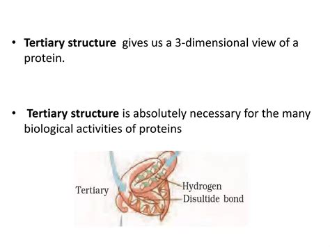 Structure Of Proteins And Nature Of Bond Linking Monomers In A Polymer Ppt