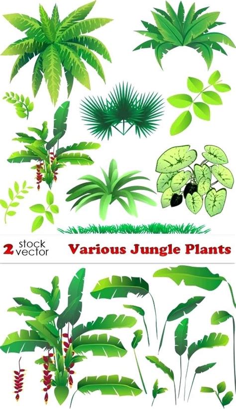 Rainforest Drawing Easy At PaintingValley Com Explore Collection Of Rainforest Drawing Easy