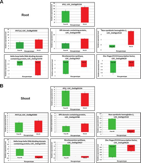 rt qpcr validation of seven randomly selected differentially expressed