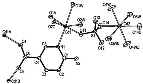 Substituted Pyridine Complex And Preparation Method Thereof And Application Of Substituted