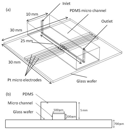 A D Model Of The Device B Cross Section View Download Scientific Diagram